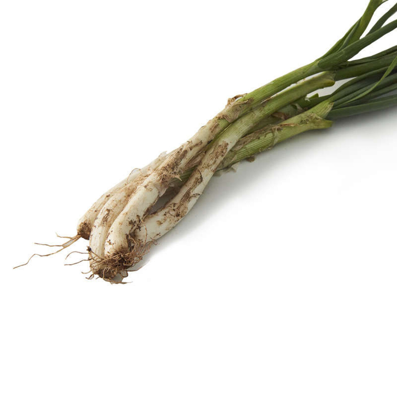 Natoora Oignon Calçots 250g - Monoprix Courses en ligne et offres