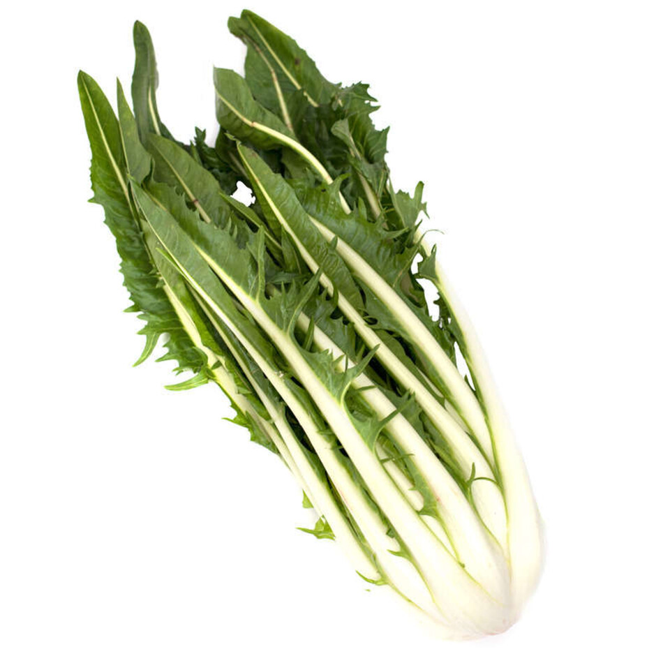 Natoora Puntarelle Cat : 1 750g - Monoprix Courses en ligne et offres